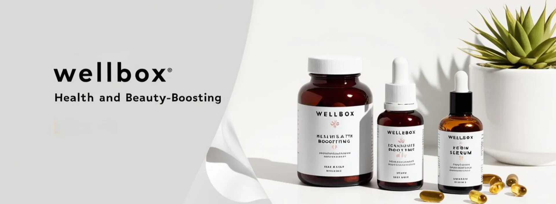 WellBox
